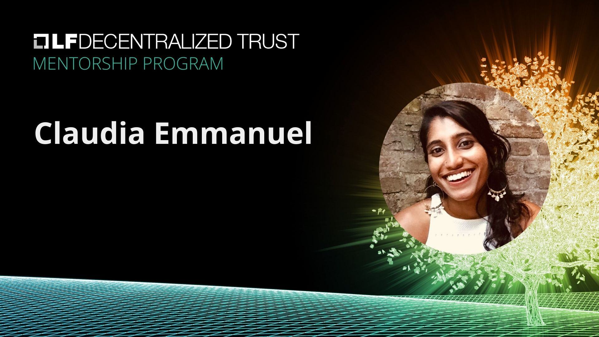 LF Decentralized Trust Mentorship Spotlight: VS Code Debugger Plugin for Hyperledger Fabric ...